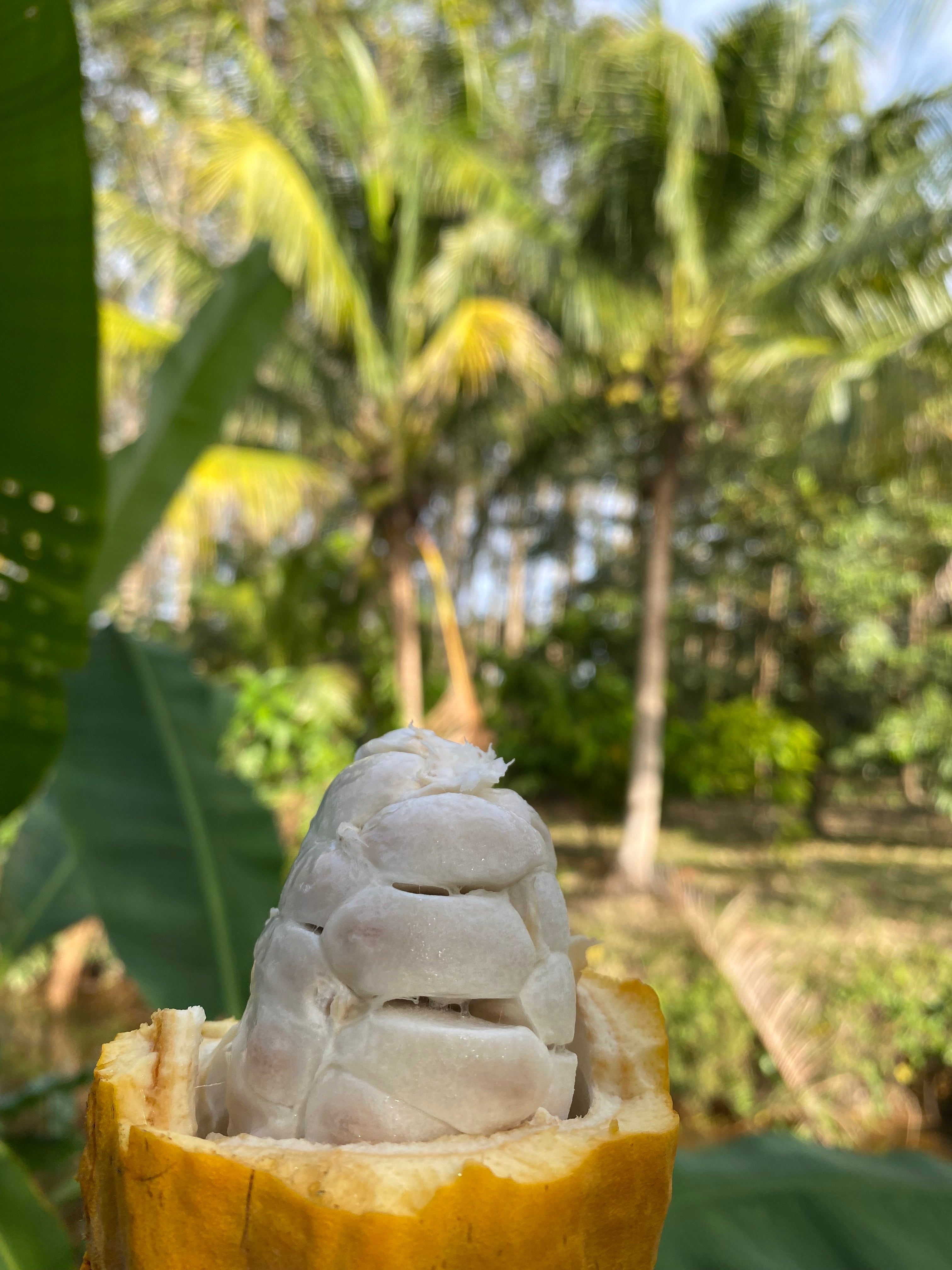 Chanthaburi, Thailand